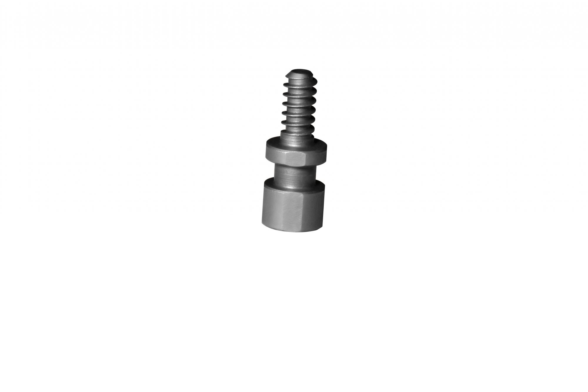 NOVA 10006 SAFELOCK Woodworm Screw | Poolewood